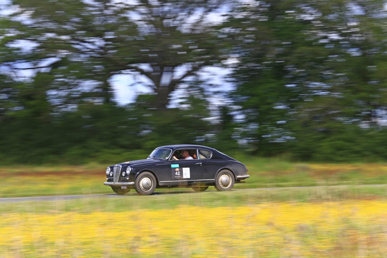 Photo's 2025 - EN Tulpenrallye